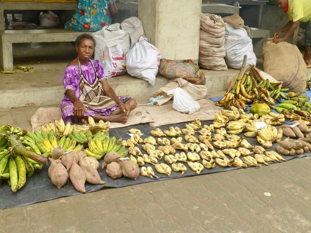 Enhancing localisation of the Papua New Guinea informal economy act ...